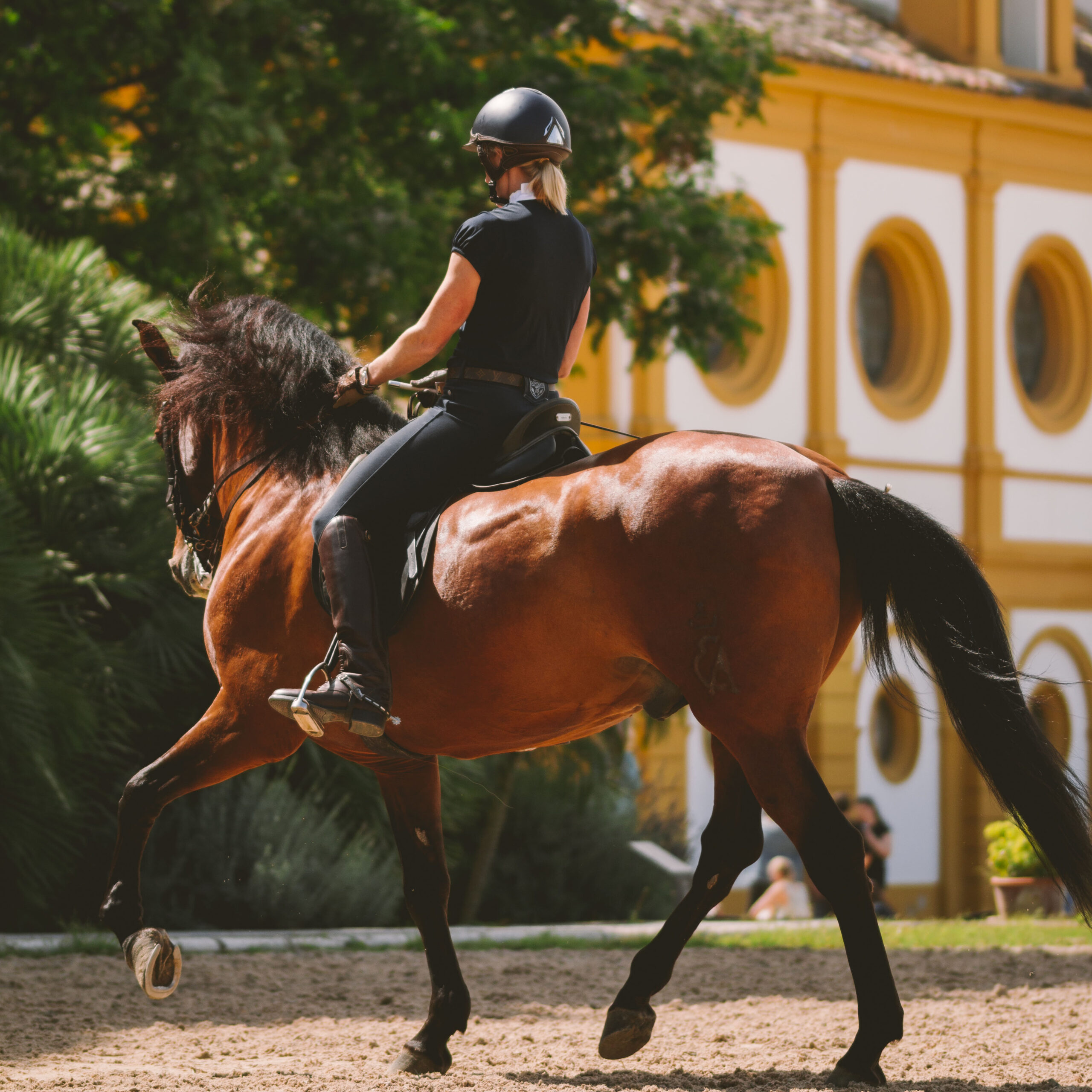 Technical Equestrian Courses Schedule for 2025 - Fundación Real Escuela ...